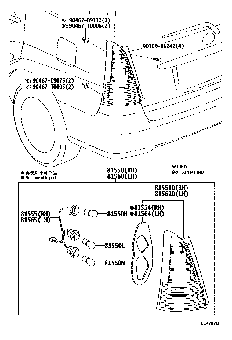 Mkena online auto parts store Toyota - 81551-0K120 - LENS AND BODY, RR CO